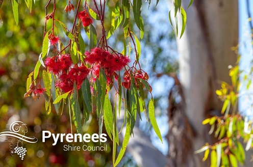 Home - Pyrenees Shire Council