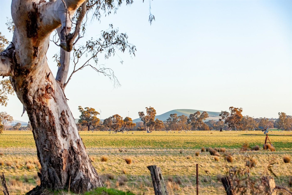 Preparation of Proposed Budget 2025/26 - Pyrenees Shire Council