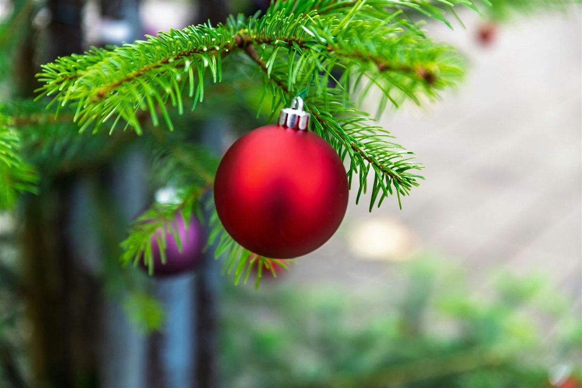 Amphitheatre Christmas BBQ and Movie - Pyrenees Shire Council