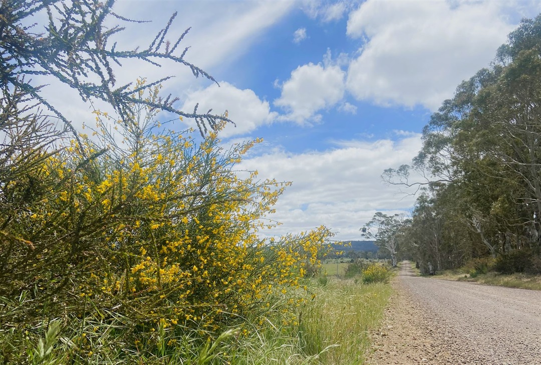 Weeds and Pests - Pyrenees Shire Council
