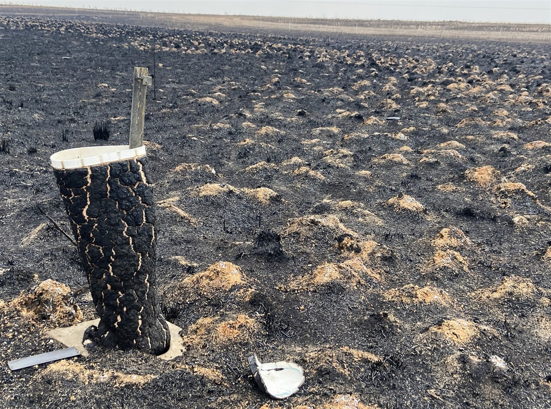 Statement from Mayor Damian Ferrari - Streatham fire - Pyrenees Shire ...