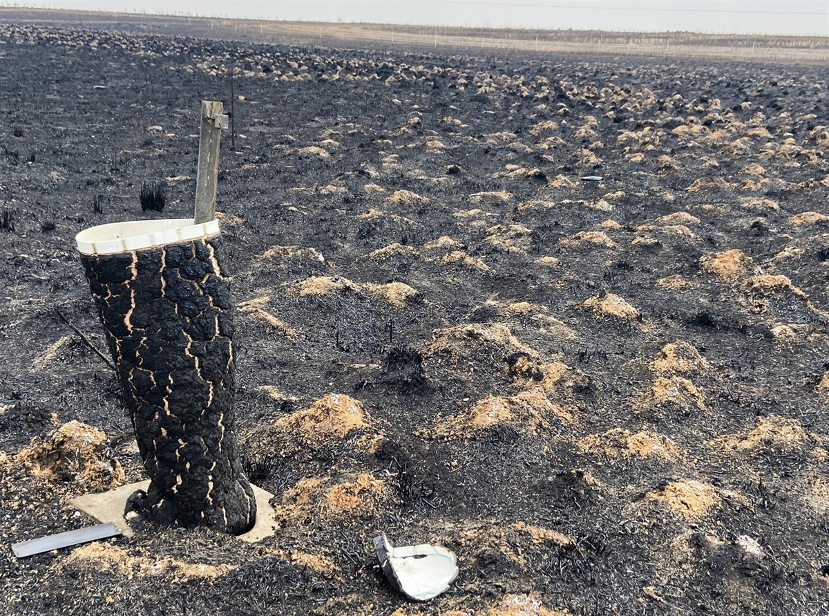 Statement from Mayor Damian Ferrari - Streatham fire - Pyrenees Shire ...