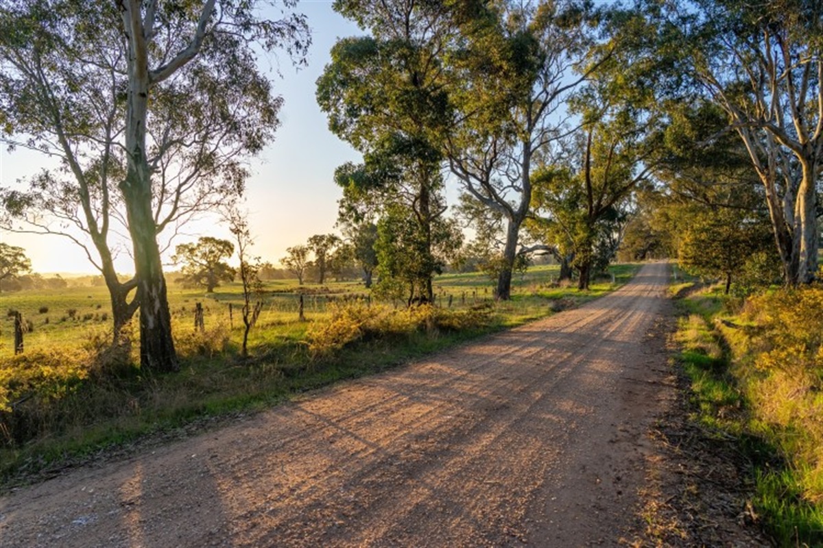 Pyrenees Shire welcomes drought relief measures - Pyrenees Shire Council